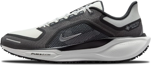 Nike Pegasus 41 Gore-Tex "BLACK ANTHRACITE"- FQ1356-002